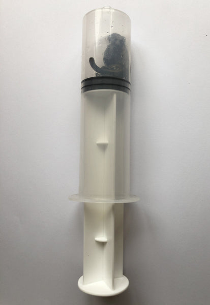 Medical Leeches for Sale: Buy Leech Therapy Hirudo Medicinalis ...